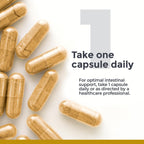 multivitamin support for gut health