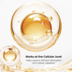 multivitamin support for healthy skin
