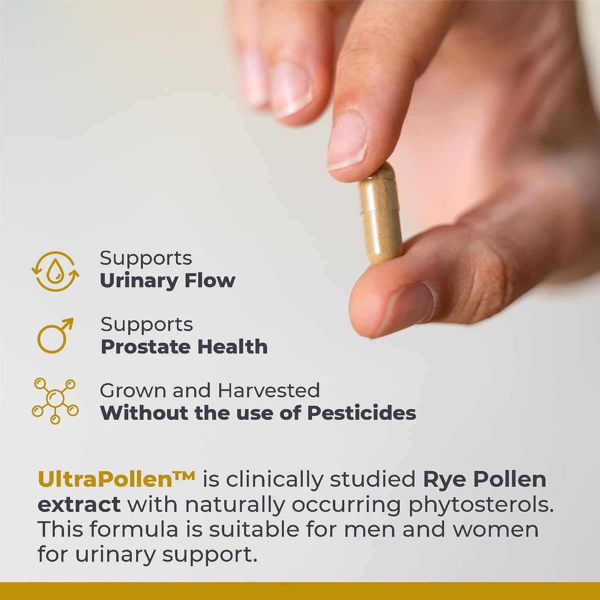 multivitamin support for immune health