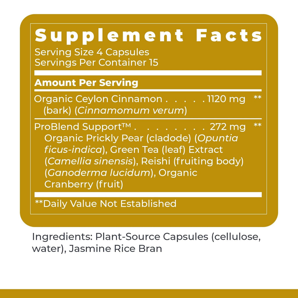 multivitamin support for seniors' vitality