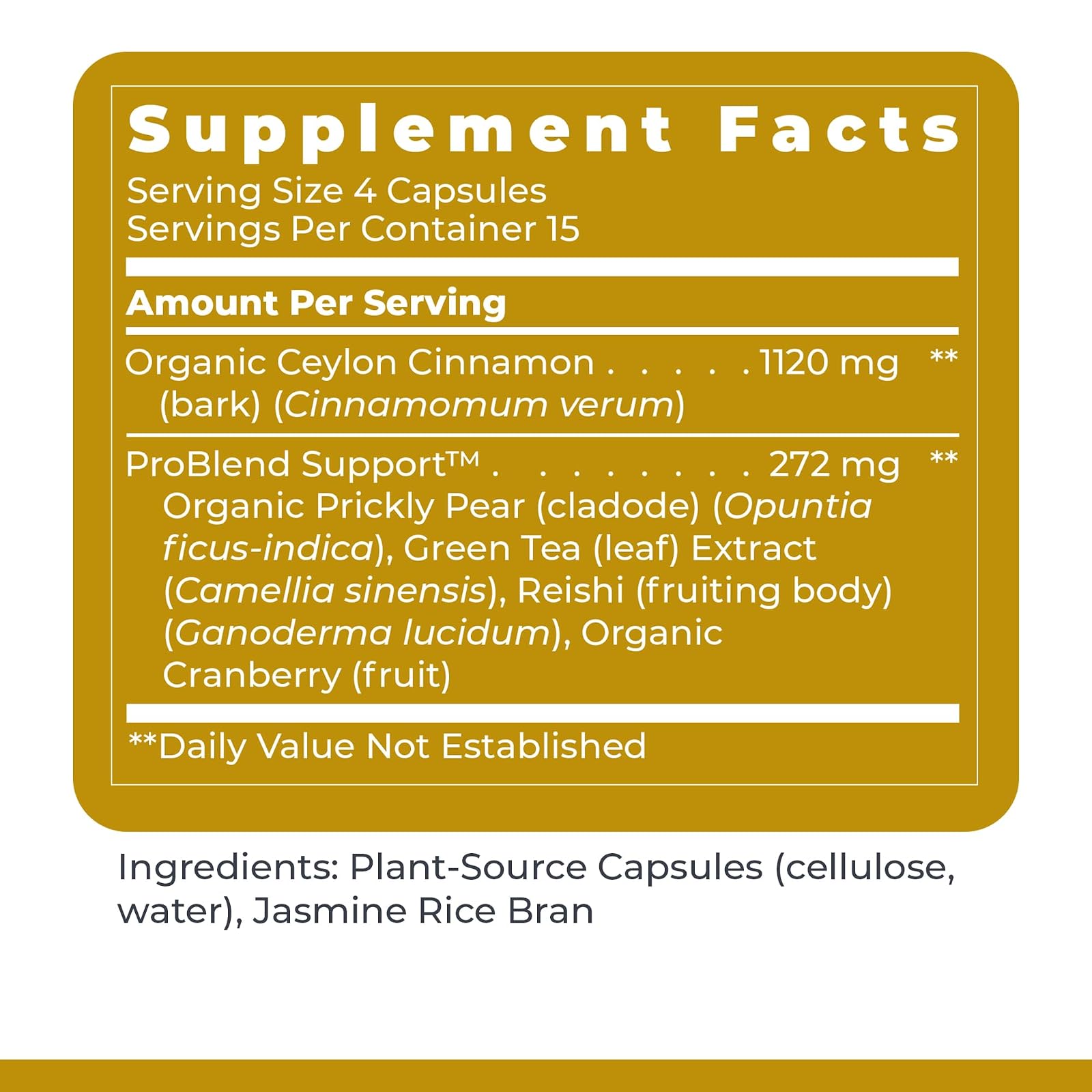 multivitamin support for seniors' vitality