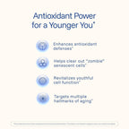 Multivitamin support with Fisetin extract