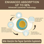 Multivitamin support with spermidine