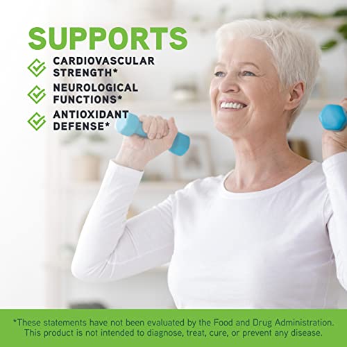 multivitamins and minerals for energy