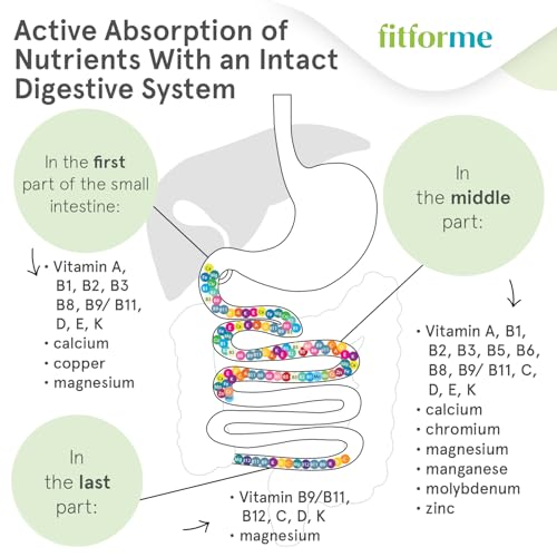 multivitamins designed for bariatric lifestyle