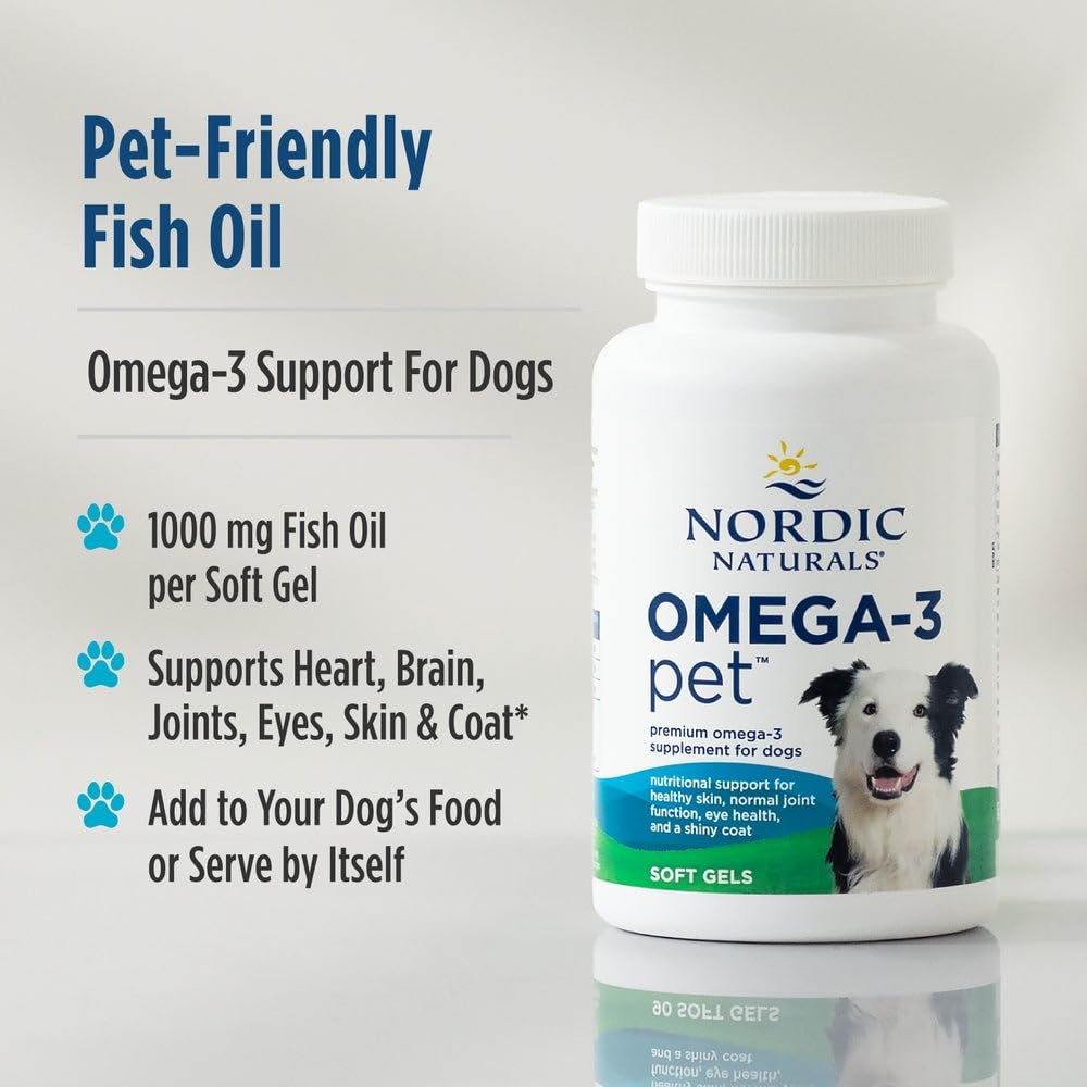 multivitamins for active dogs