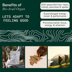 multivitamins for active lifestyles