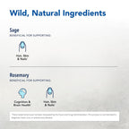 multivitamins for active lifestyles