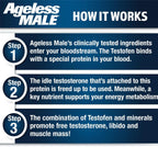 multivitamins for active lifestyles