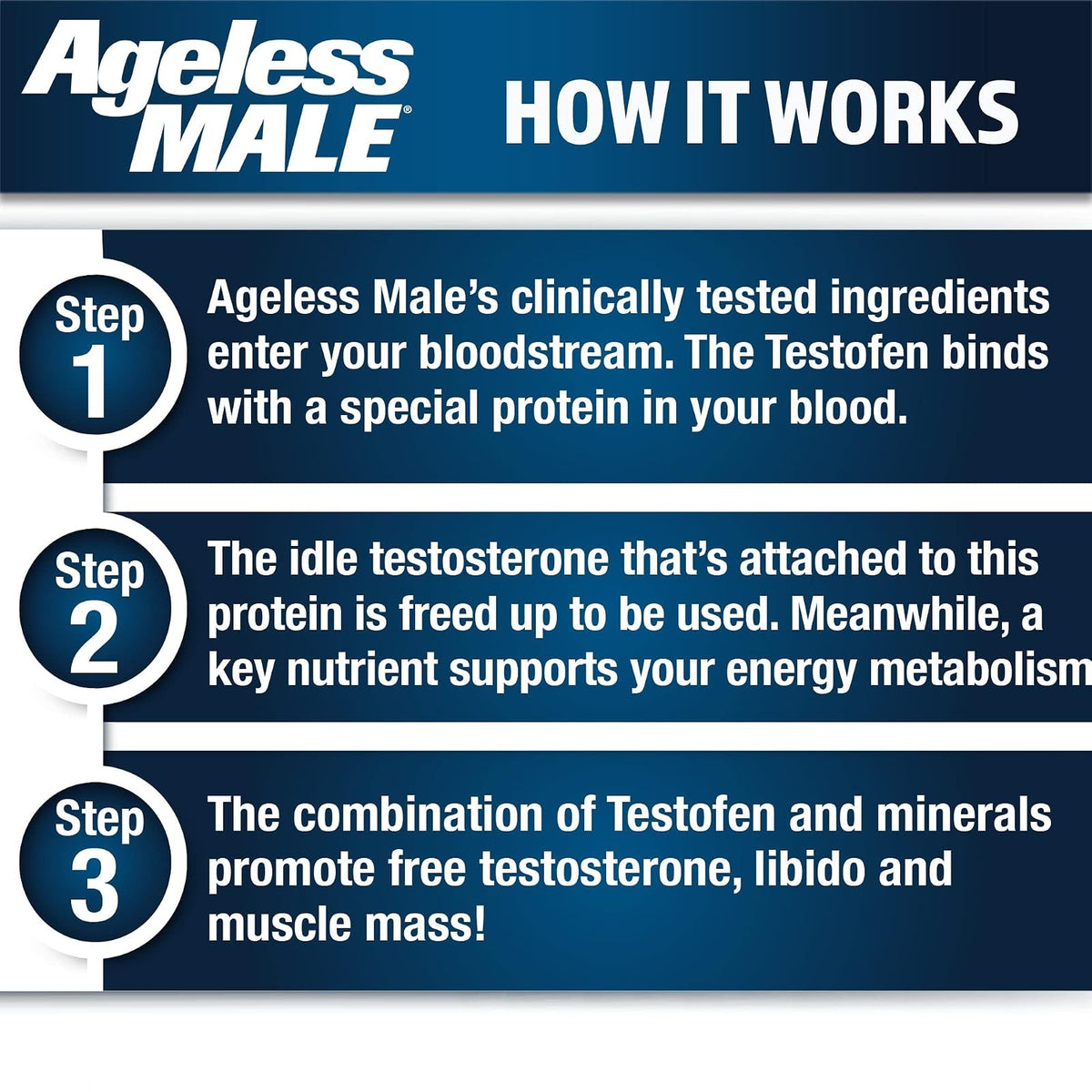 multivitamins for active lifestyles