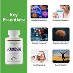 multivitamins for active lifestyles