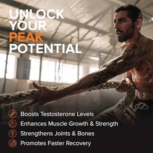 multivitamins for active lifestyles