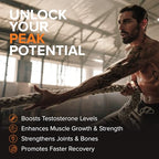 multivitamins for active lifestyles