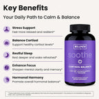 multivitamins for balanced hormone levels