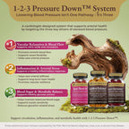 multivitamins for blood pressure support