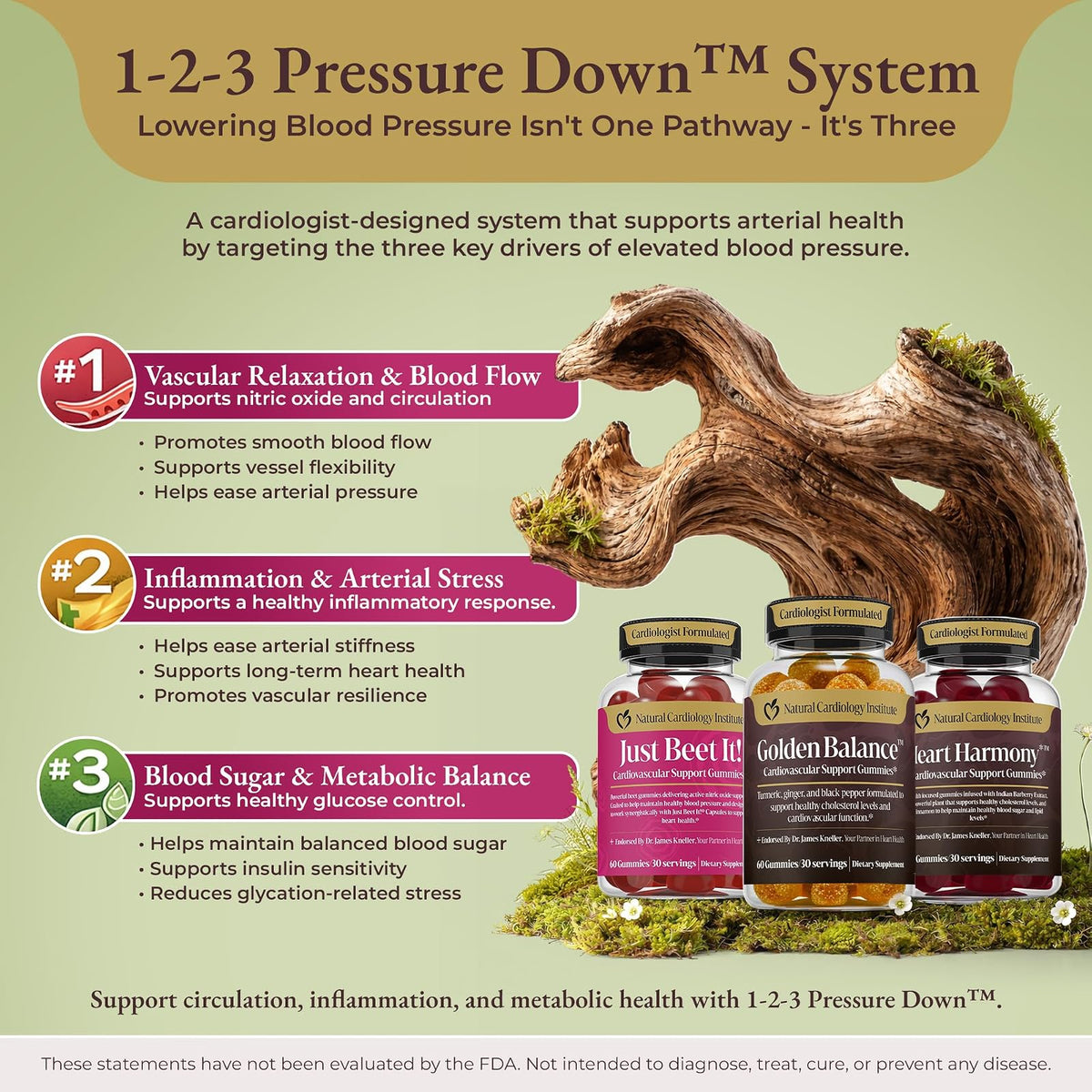 multivitamins for blood pressure support