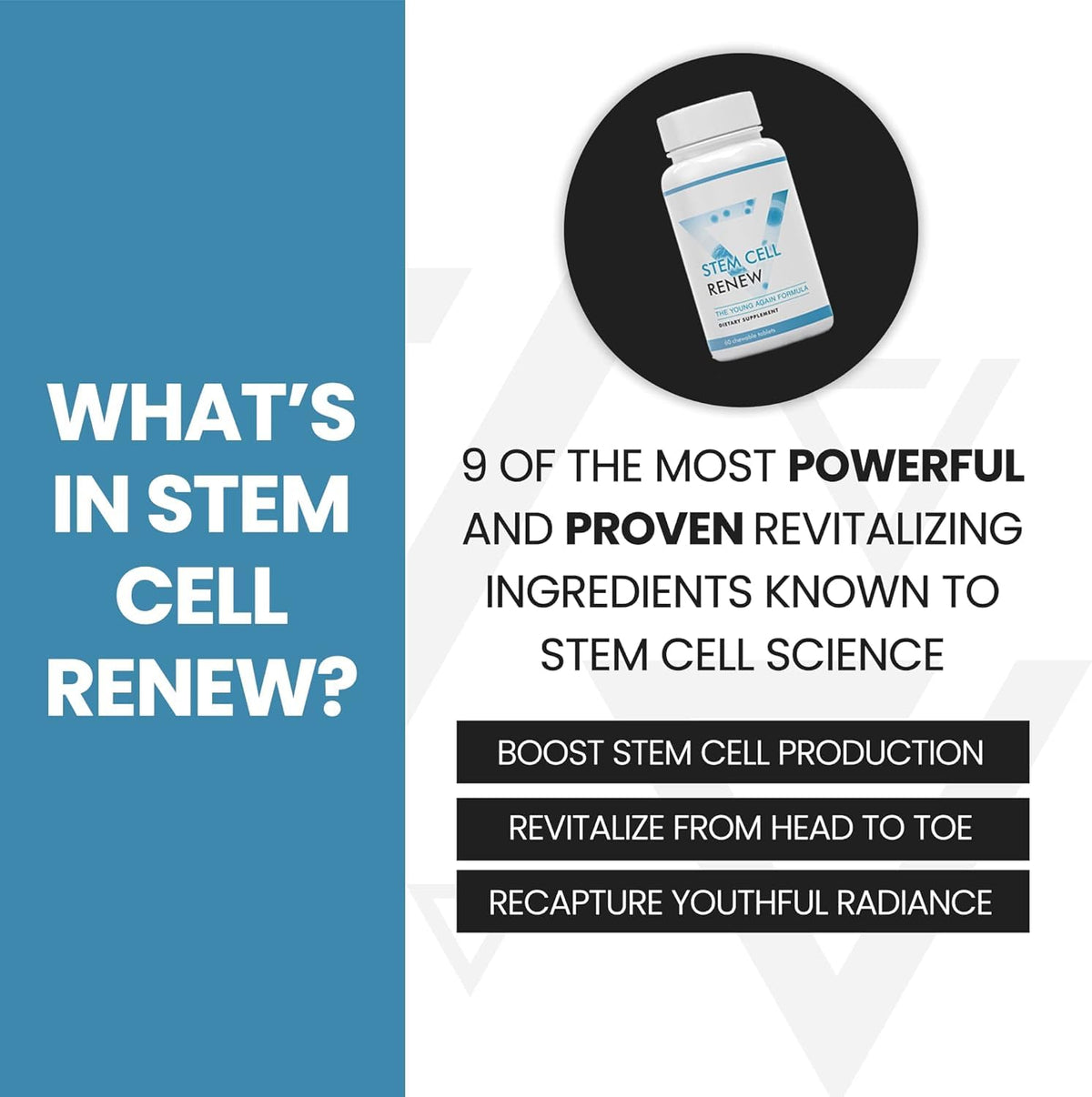Multivitamins for cellular regeneration
