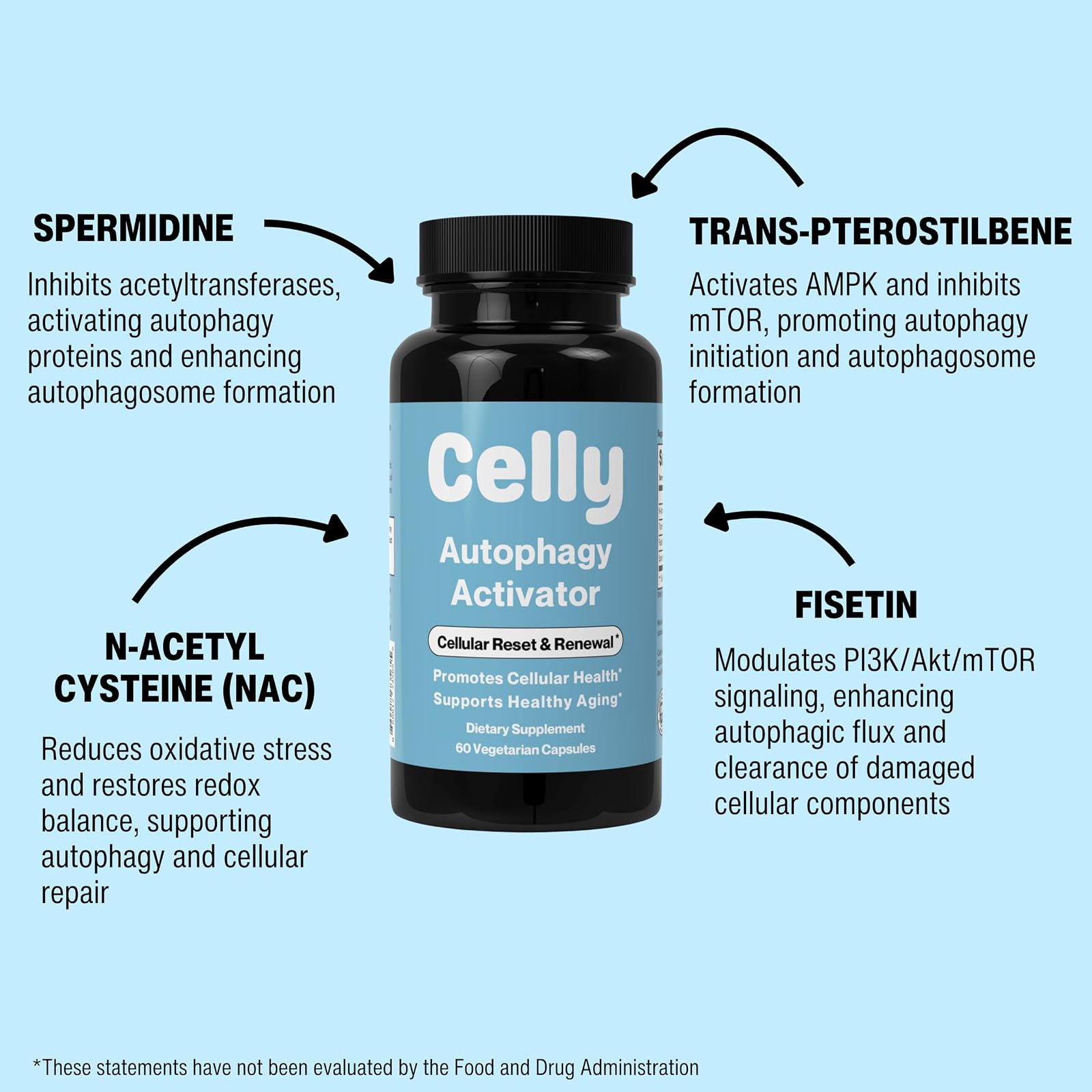 multivitamins for cellular rejuvenation