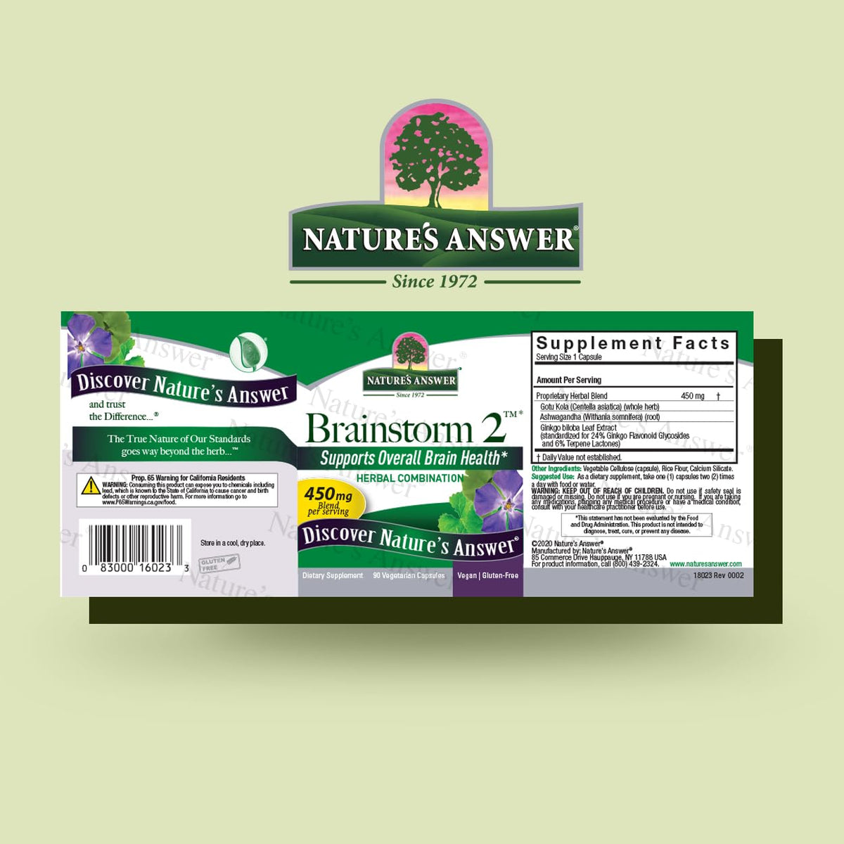 multivitamins for cognitive support