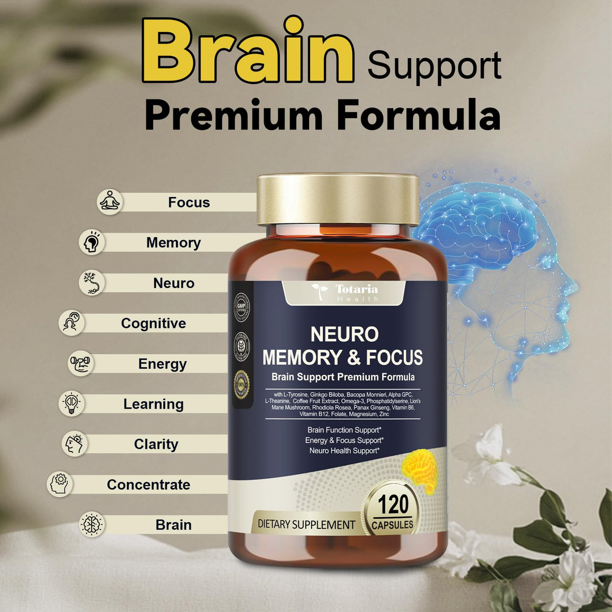 multivitamins for cognitive support