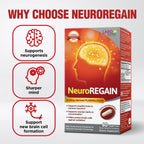 multivitamins for cognitive support