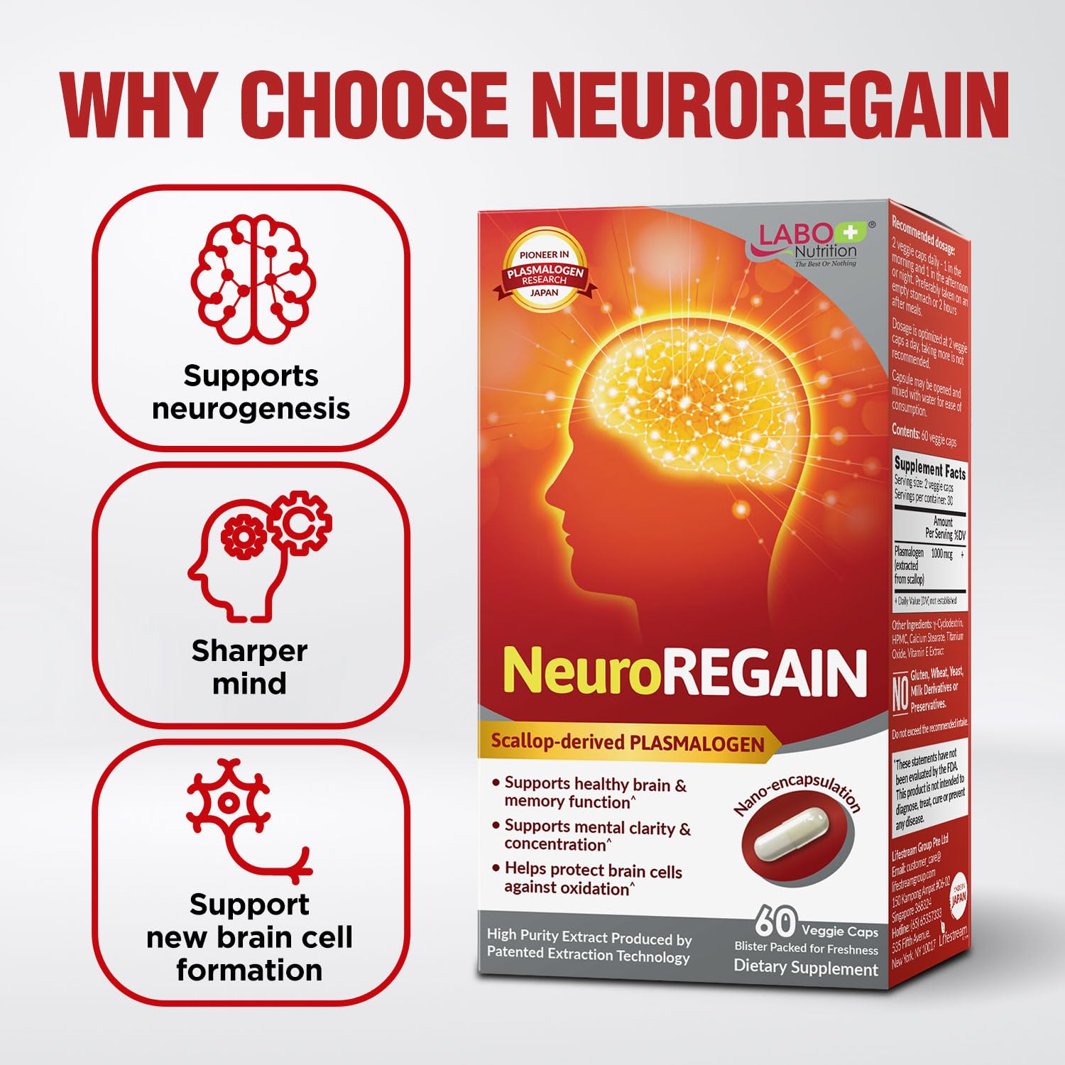 multivitamins for cognitive support