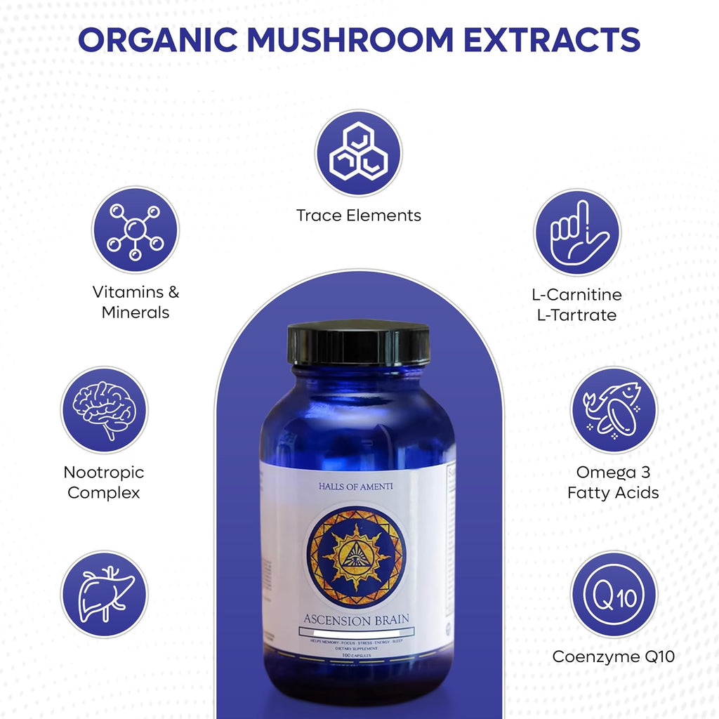 multivitamins for cognitive support