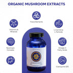 multivitamins for cognitive support