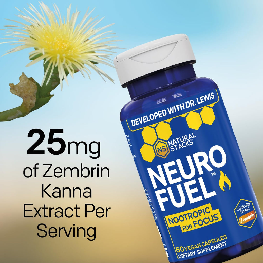Multivitamins for cognitive support