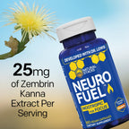 Multivitamins for cognitive support