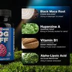 multivitamins for cognitive support