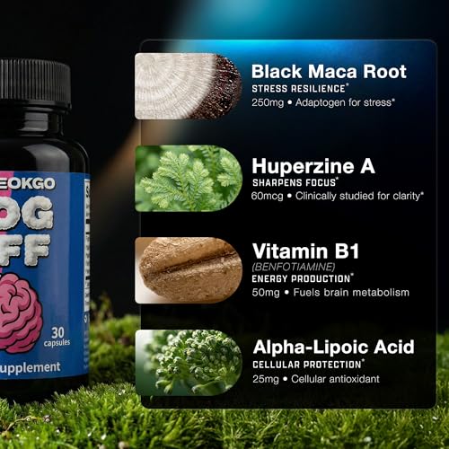 multivitamins for cognitive support