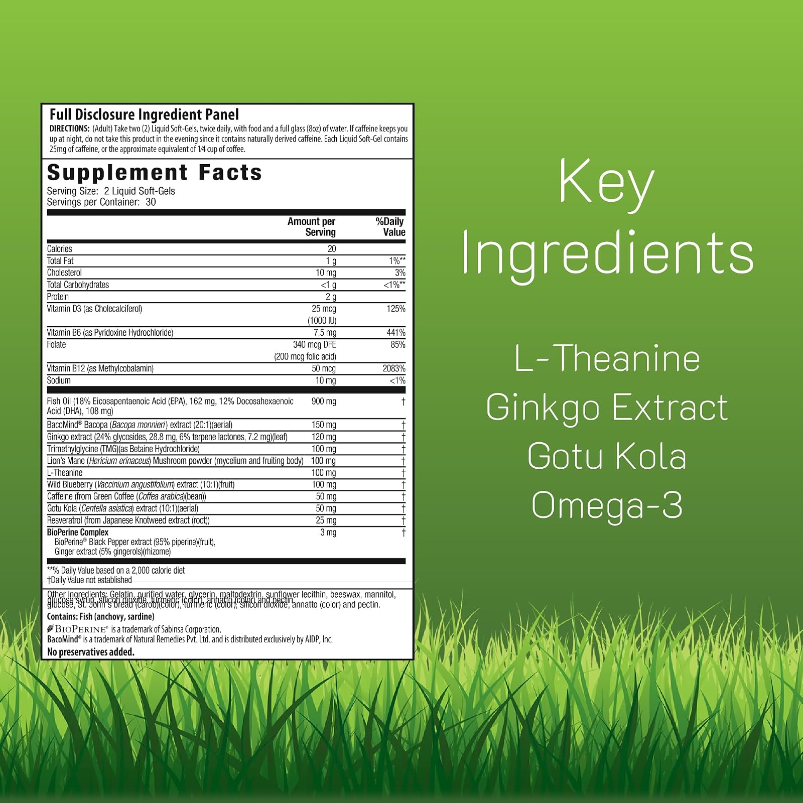 multivitamins for daily focus support