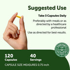Multivitamins for daily wellness support