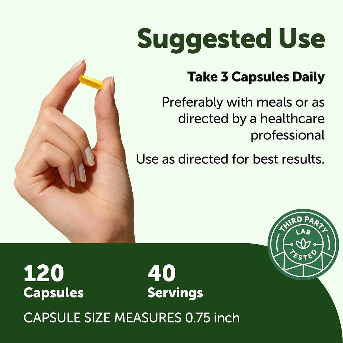 Multivitamins for daily wellness support
