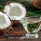 Multivitamins for daily wellness
