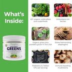 multivitamins for daily wellness