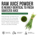 multivitamins for daily wellness