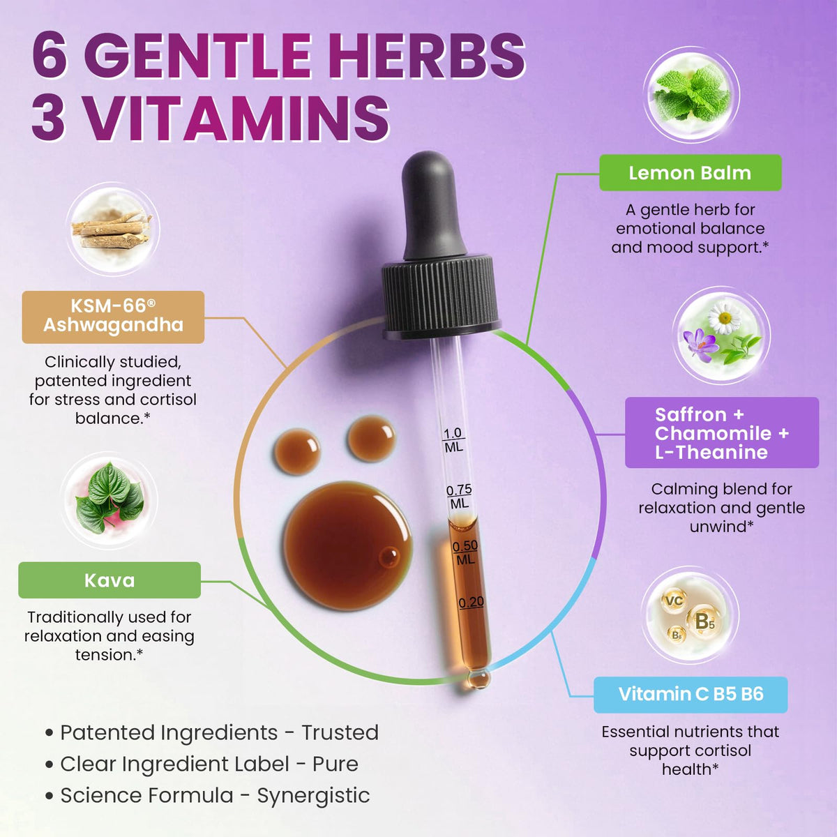 Multivitamins for daily wellness