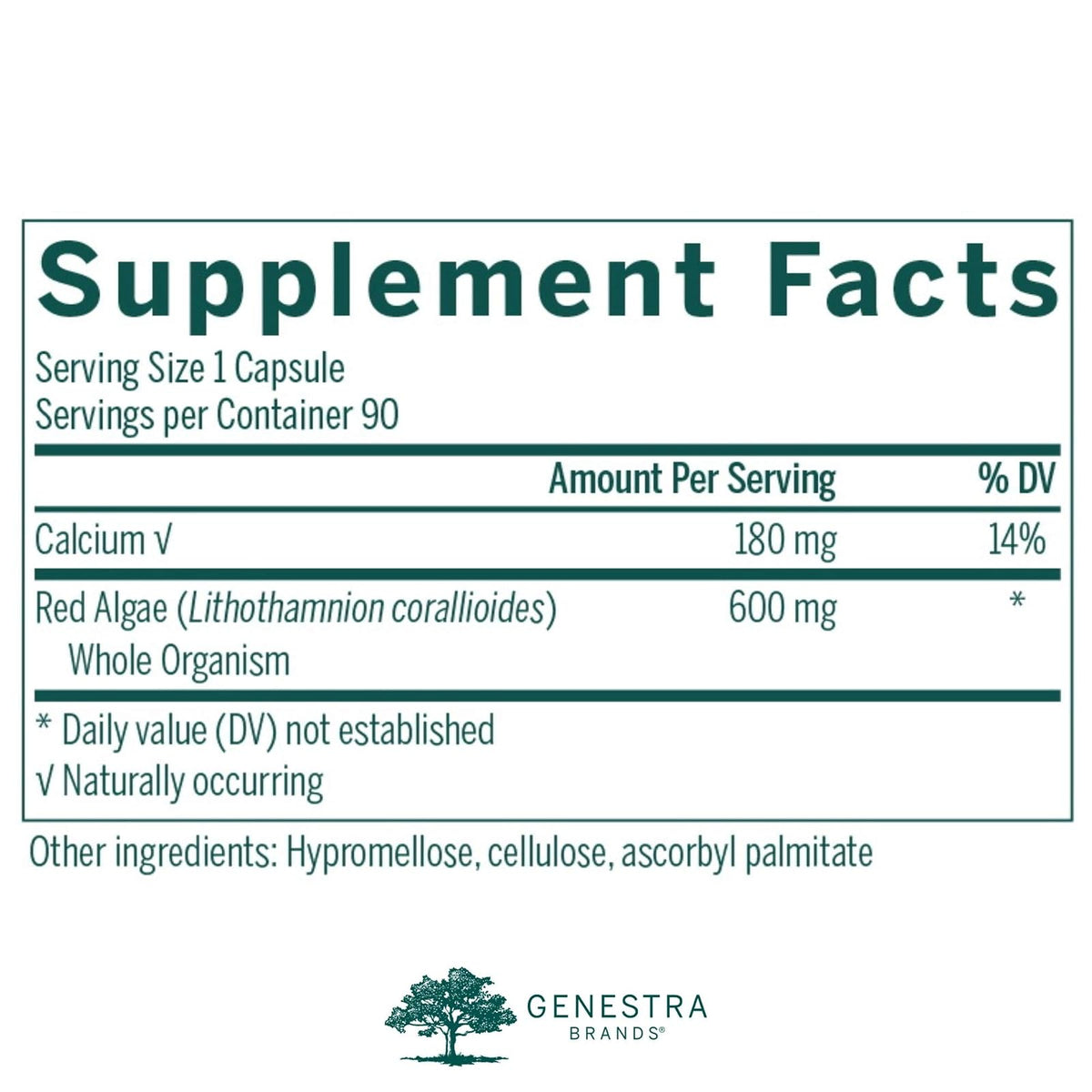multivitamins for daily wellness