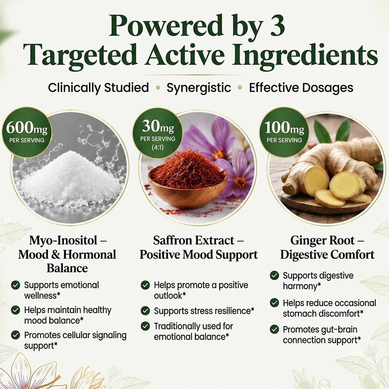 multivitamins for daily wellness