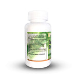multivitamins for daily wellness