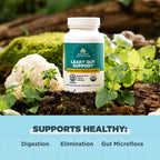 multivitamins for digestive wellness