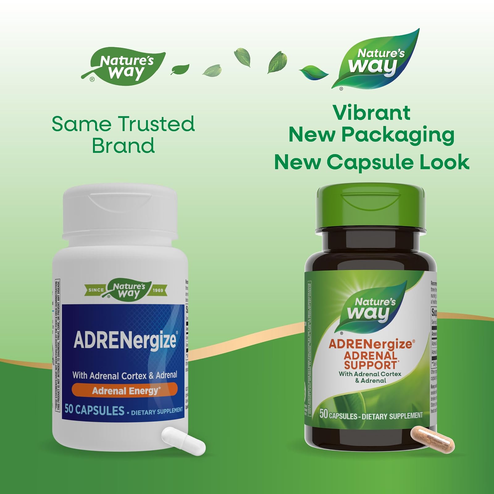 multivitamins for energy and vitality