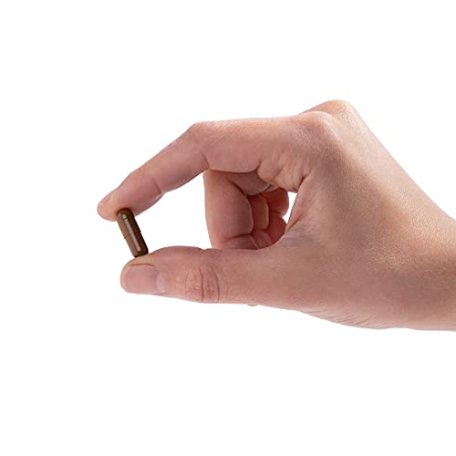 multivitamins for energy and vitality