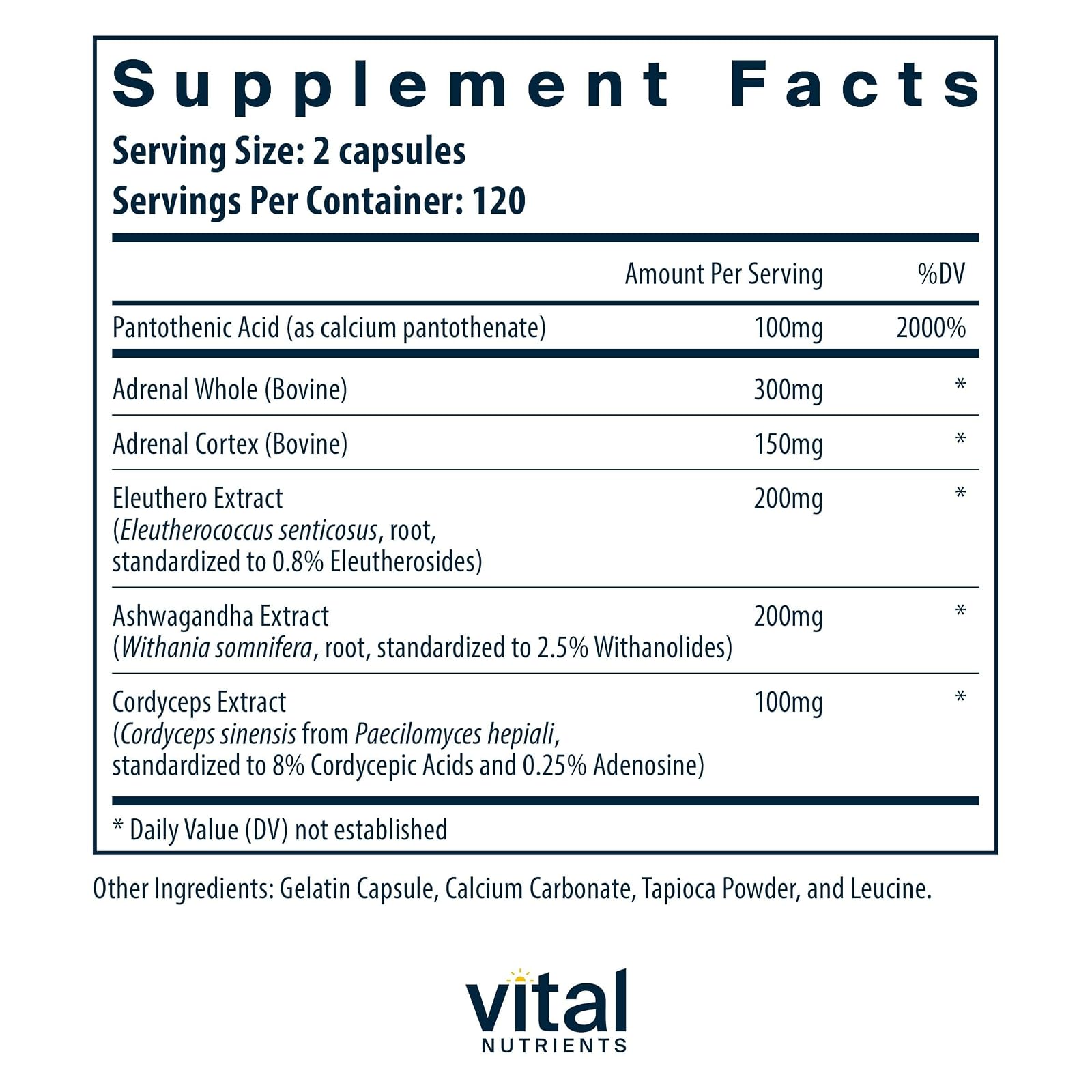 multivitamins for energy and wellness