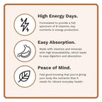 multivitamins for energy support