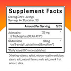 multivitamins for energy support