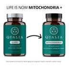 Multivitamins for enhanced cellular health