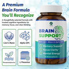 multivitamins for enhanced cognitive function